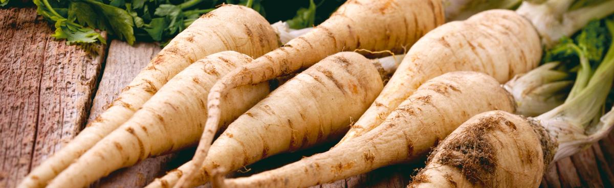 Lebensmittelkunde: Wurzelpetersilie | biomarkt.de