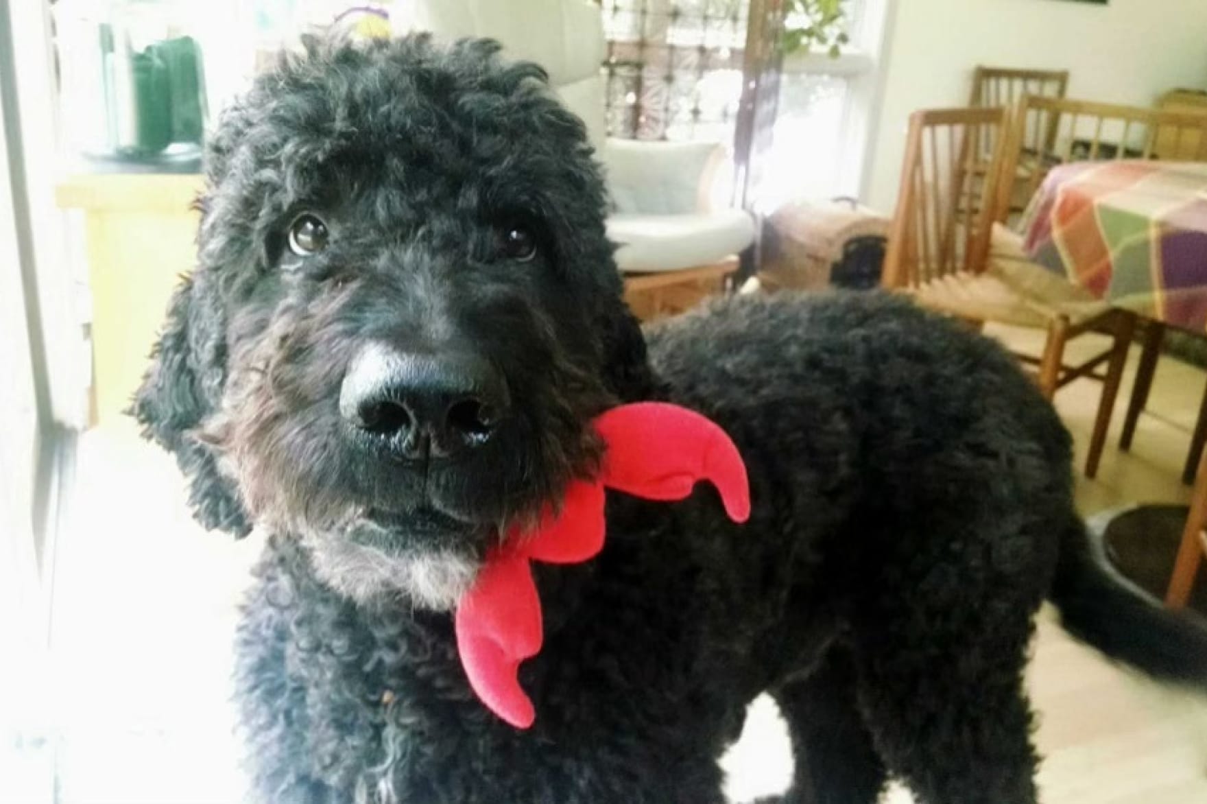 We're Hiring! - Linear