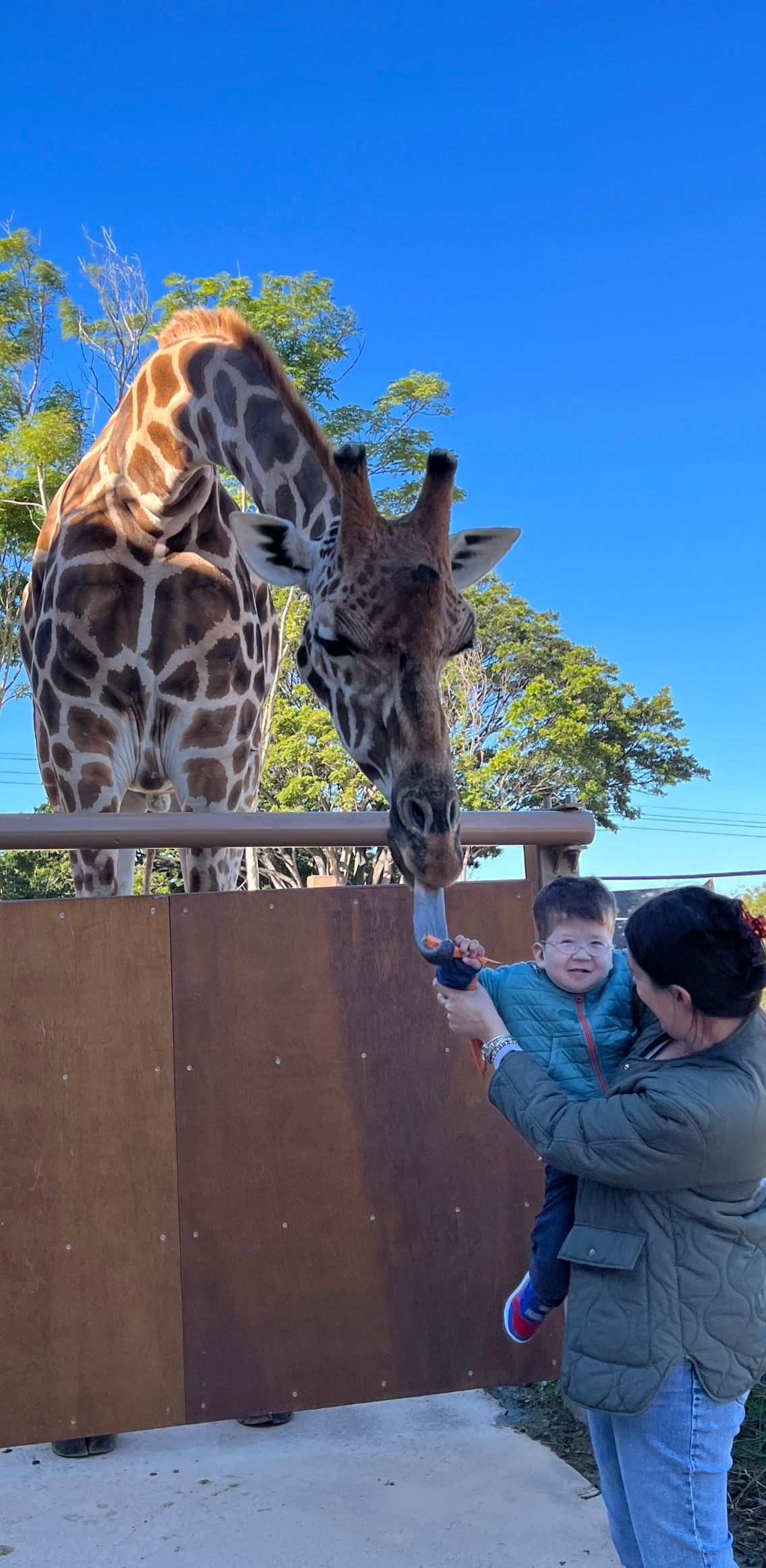 Darcy’s Animal Adventure | Extraordinary Wishes - Make-A-Wish Australia