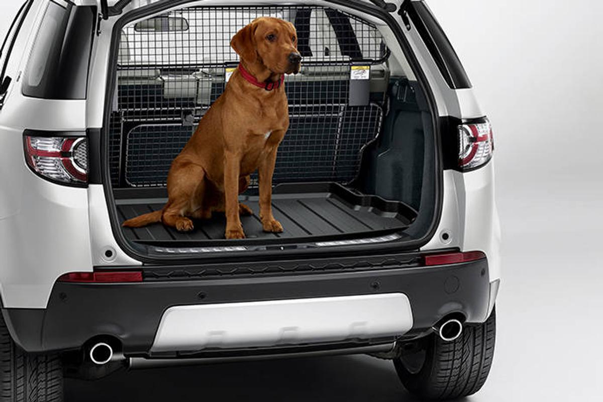 Land Rover Celebrates Year Of The Dog With Canine Friends | OneShift by ...
