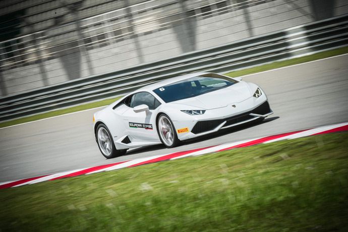 High speed bull run | OneShift