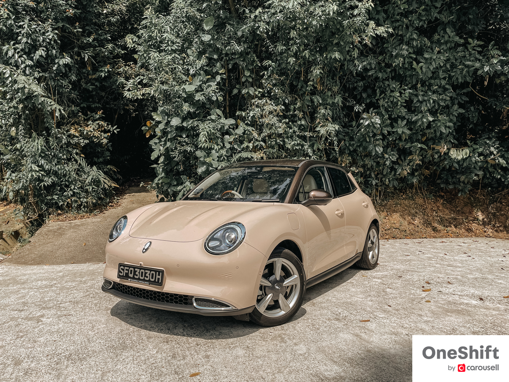 ORA Good Cat Review: The Purr-fect Cat A option? | OneShift