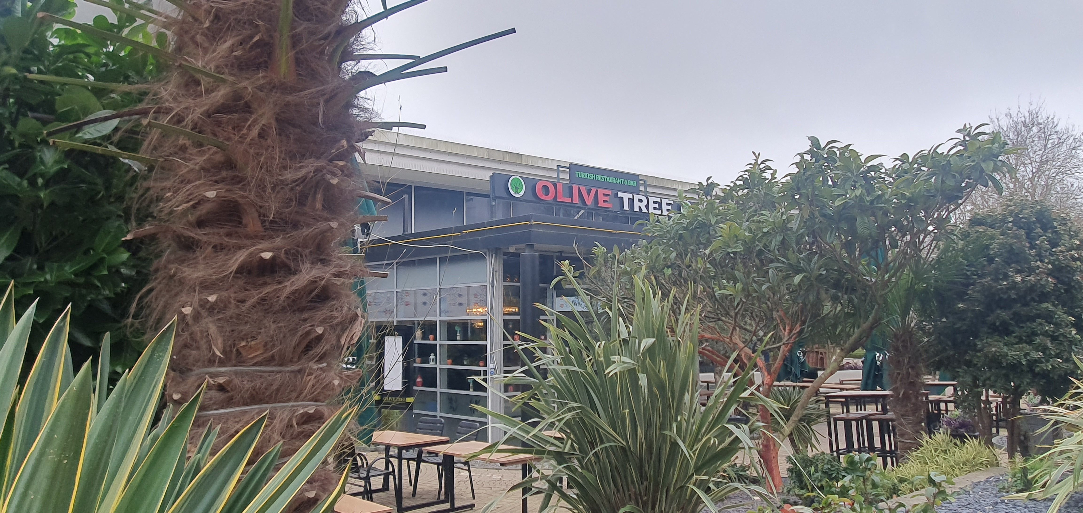 Olive Tree | MyMK.cc