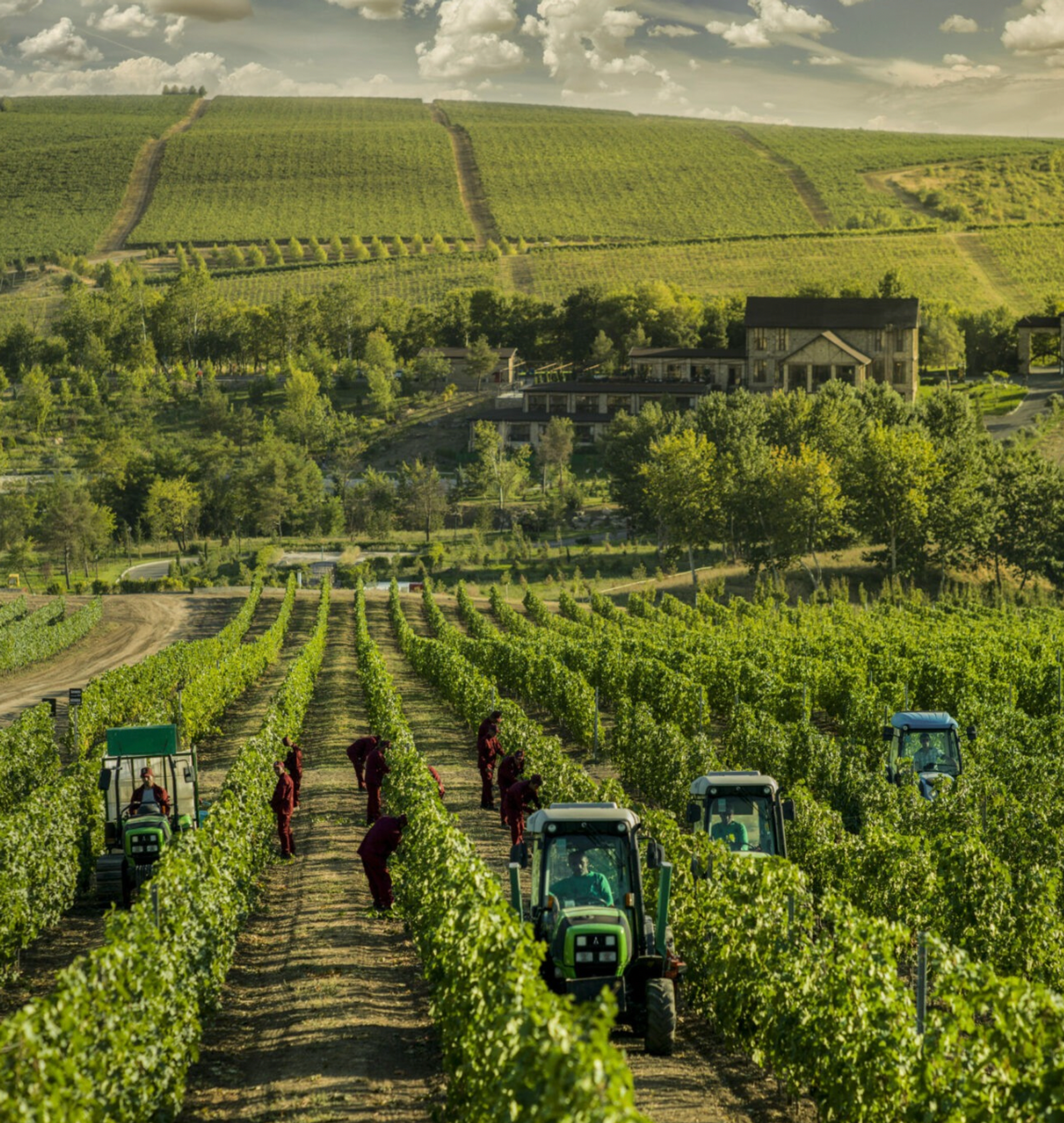 Wine Tasting on January 17th - Atelie