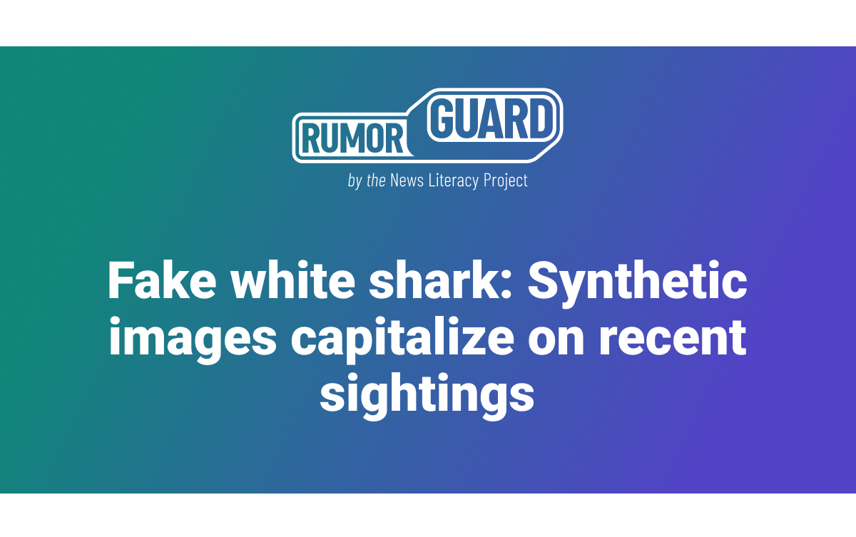 Fake white shark: Synthetic images capitalize on recent sightings