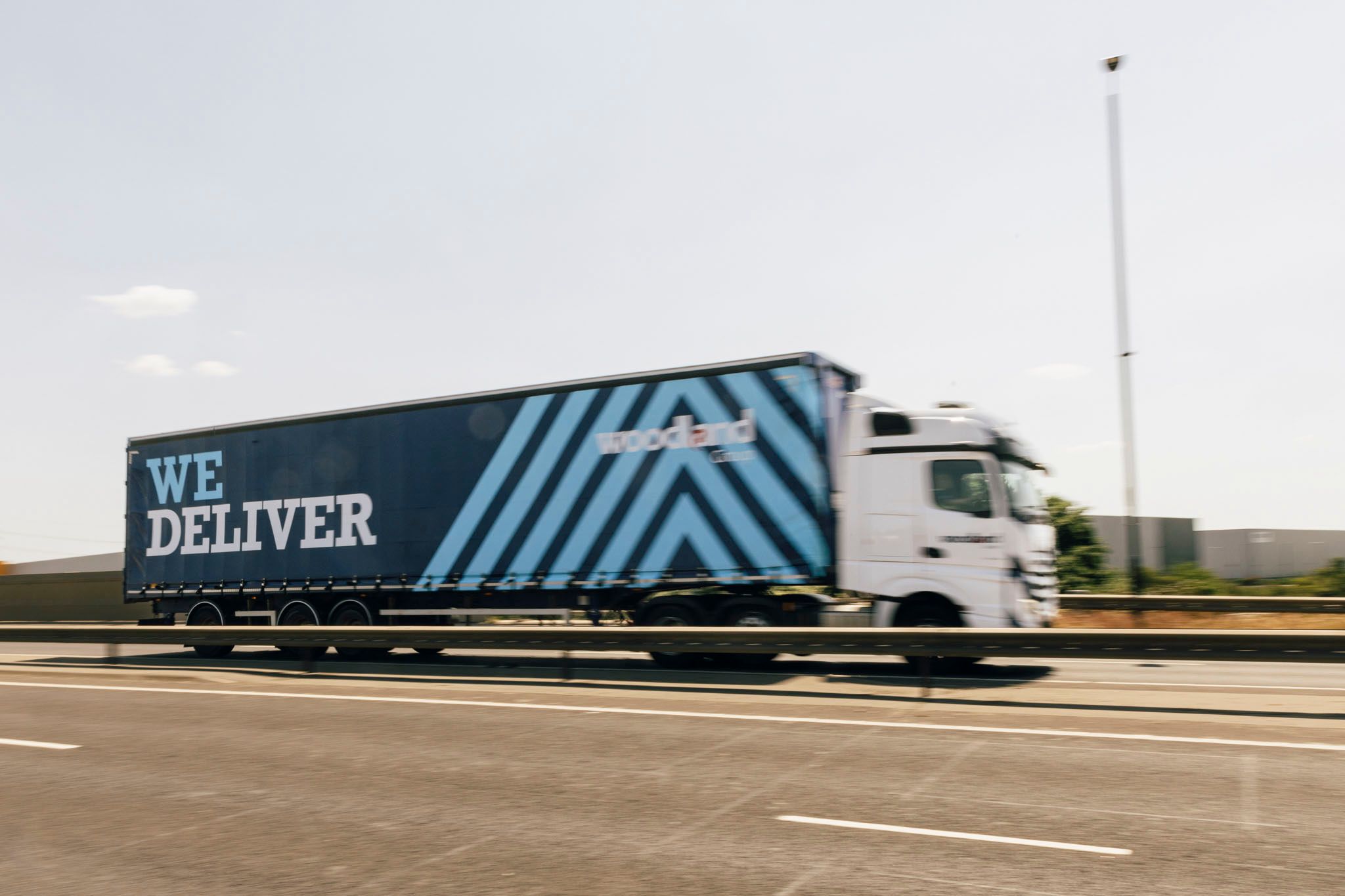 Woodland at Multimodal 2024