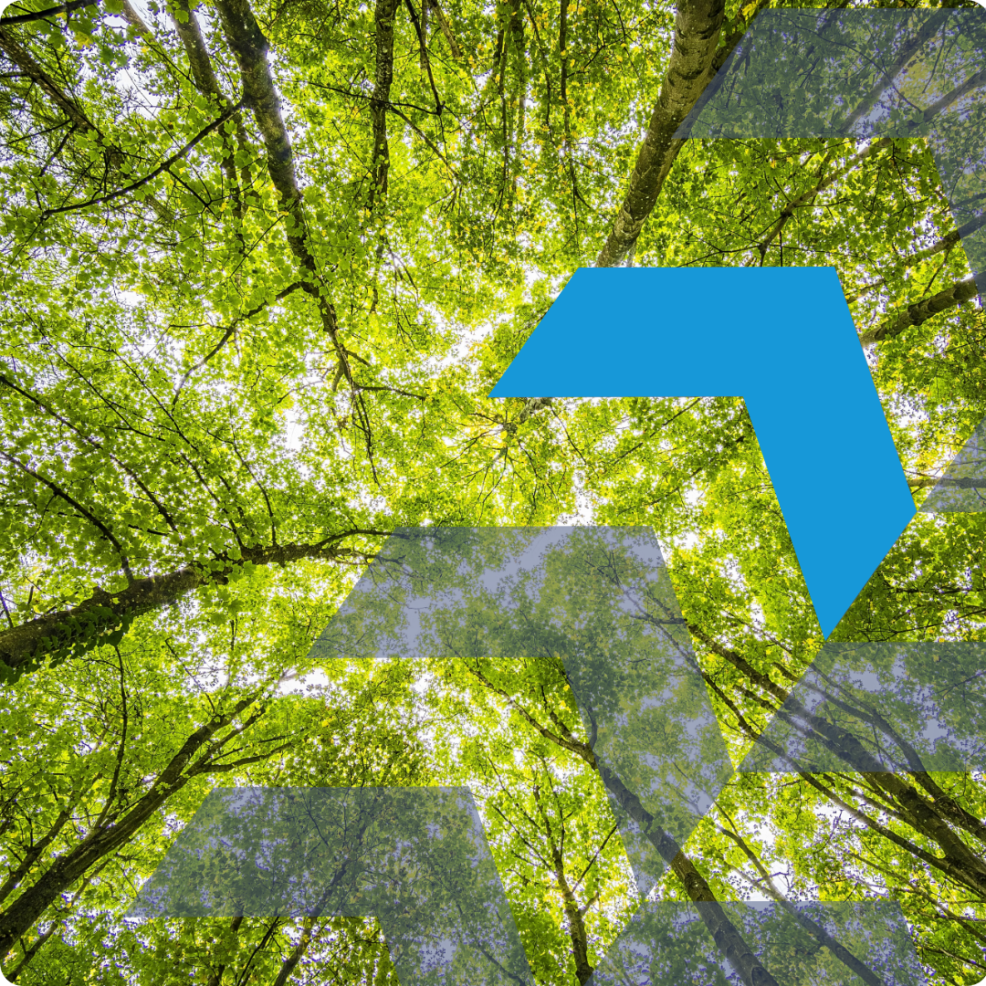 EUDR Update: Implementation Dates Confirmed | Woodland Group