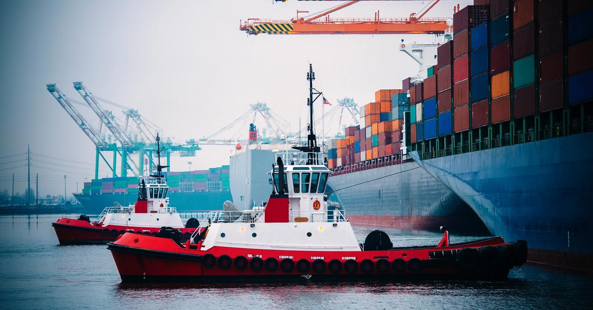 Risk Management: New Measures for BMSB Season 2024-25