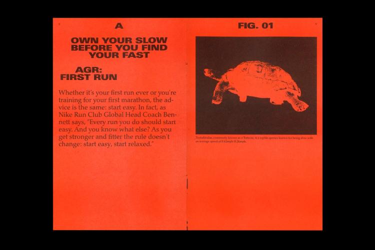 Find Your Fast | M35