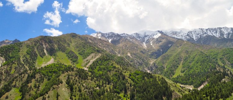 The Ziarat juniper forest – SUGi