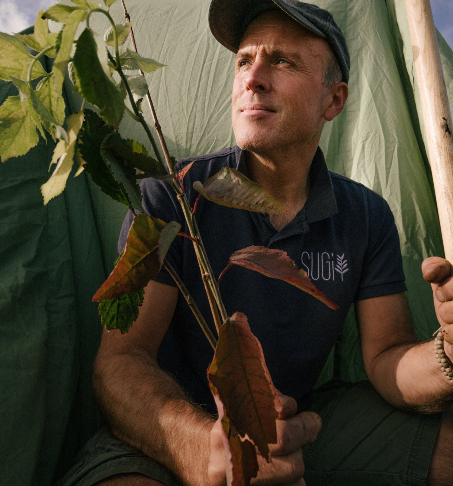 Support Sustainable Biodiverse Forests with SUGi