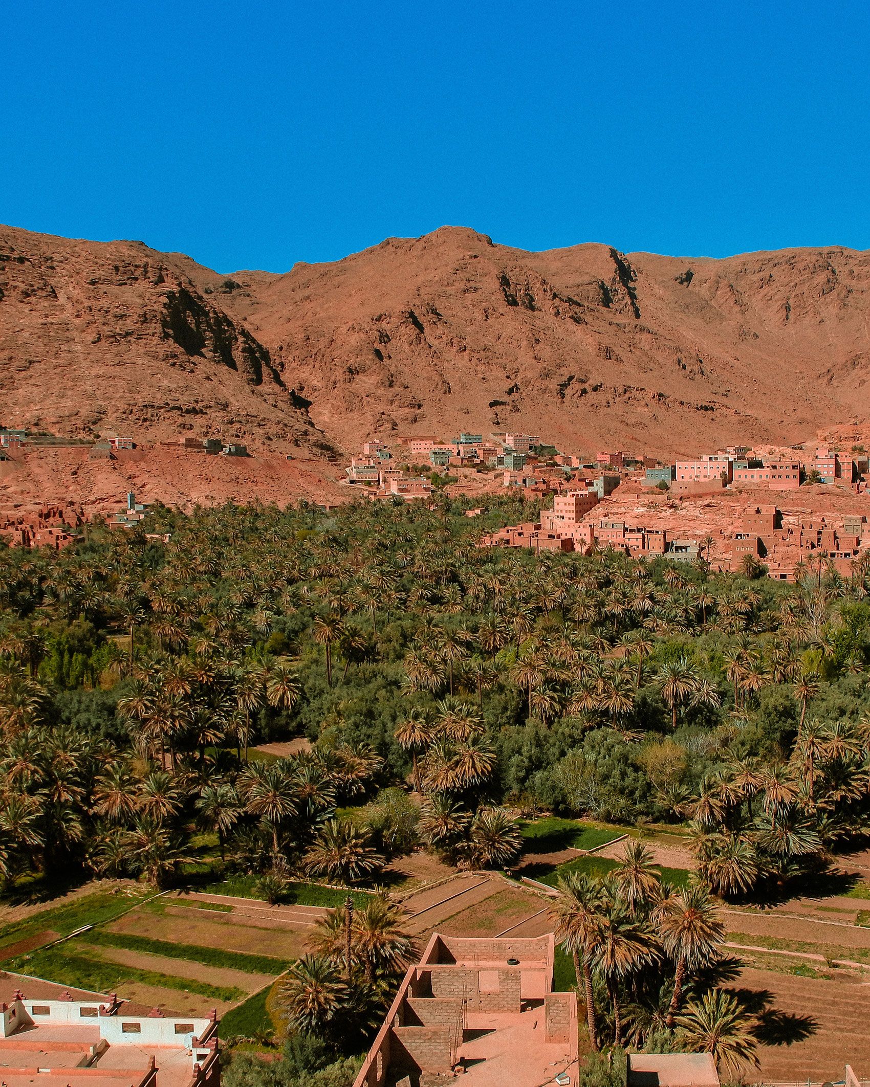 Atlas Mountains forest – SUGi