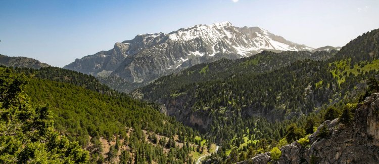 The Ziarat juniper forest – SUGi