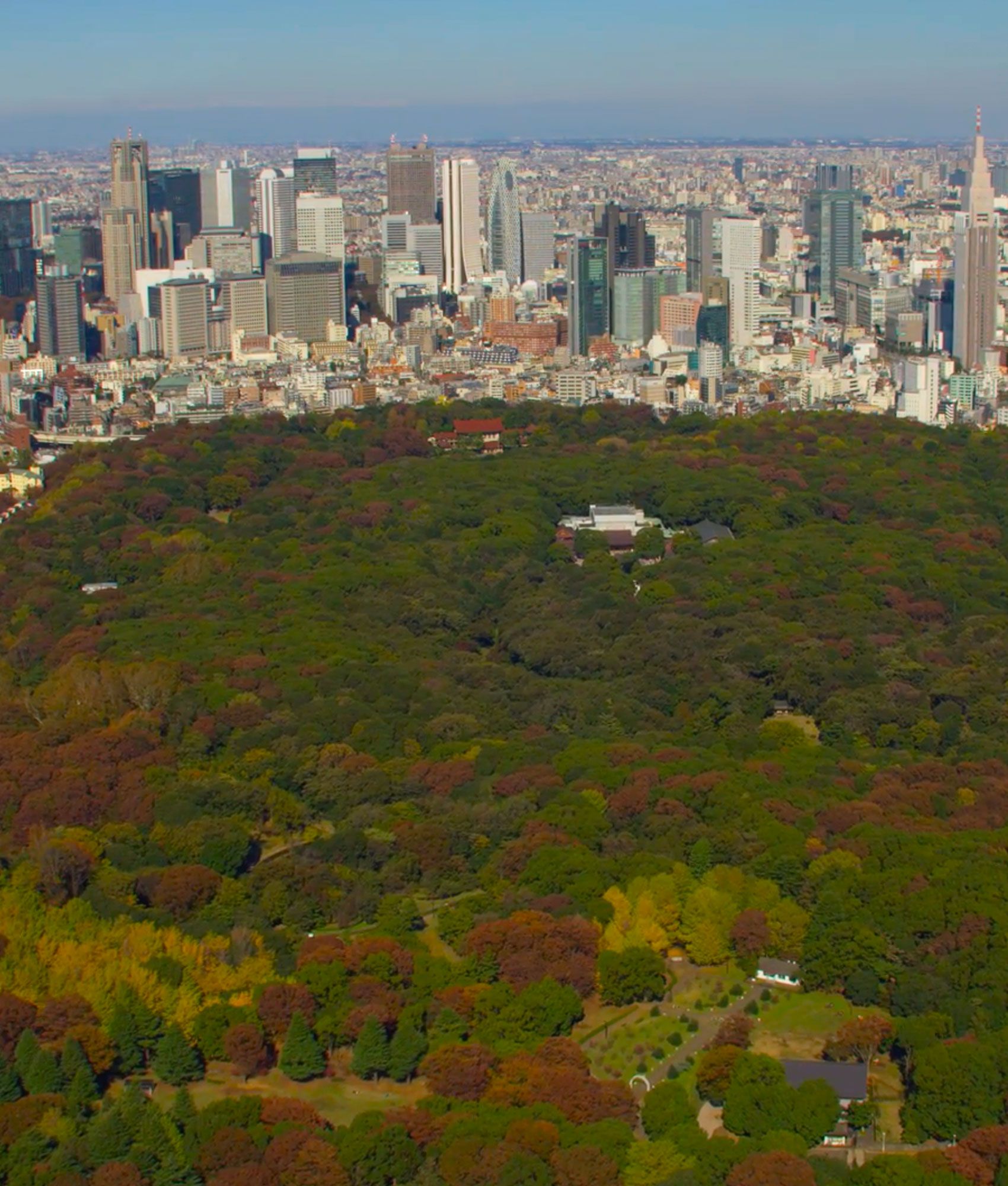 The Meiji Jingu Shrine – SUGi