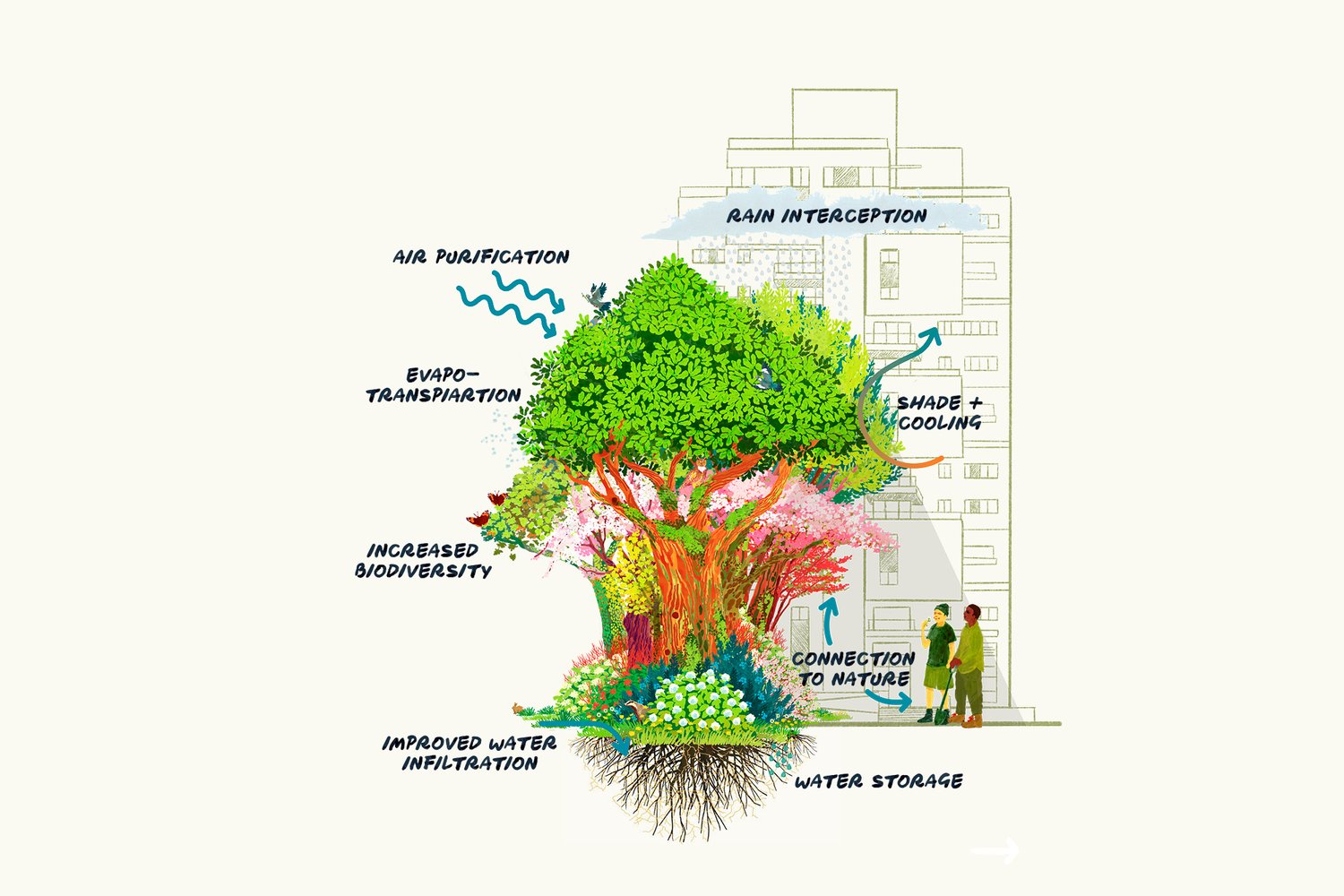 Urban Tree Cover – SUGi