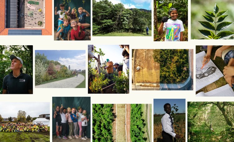 Support Sustainable Biodiverse Forests with SUGi