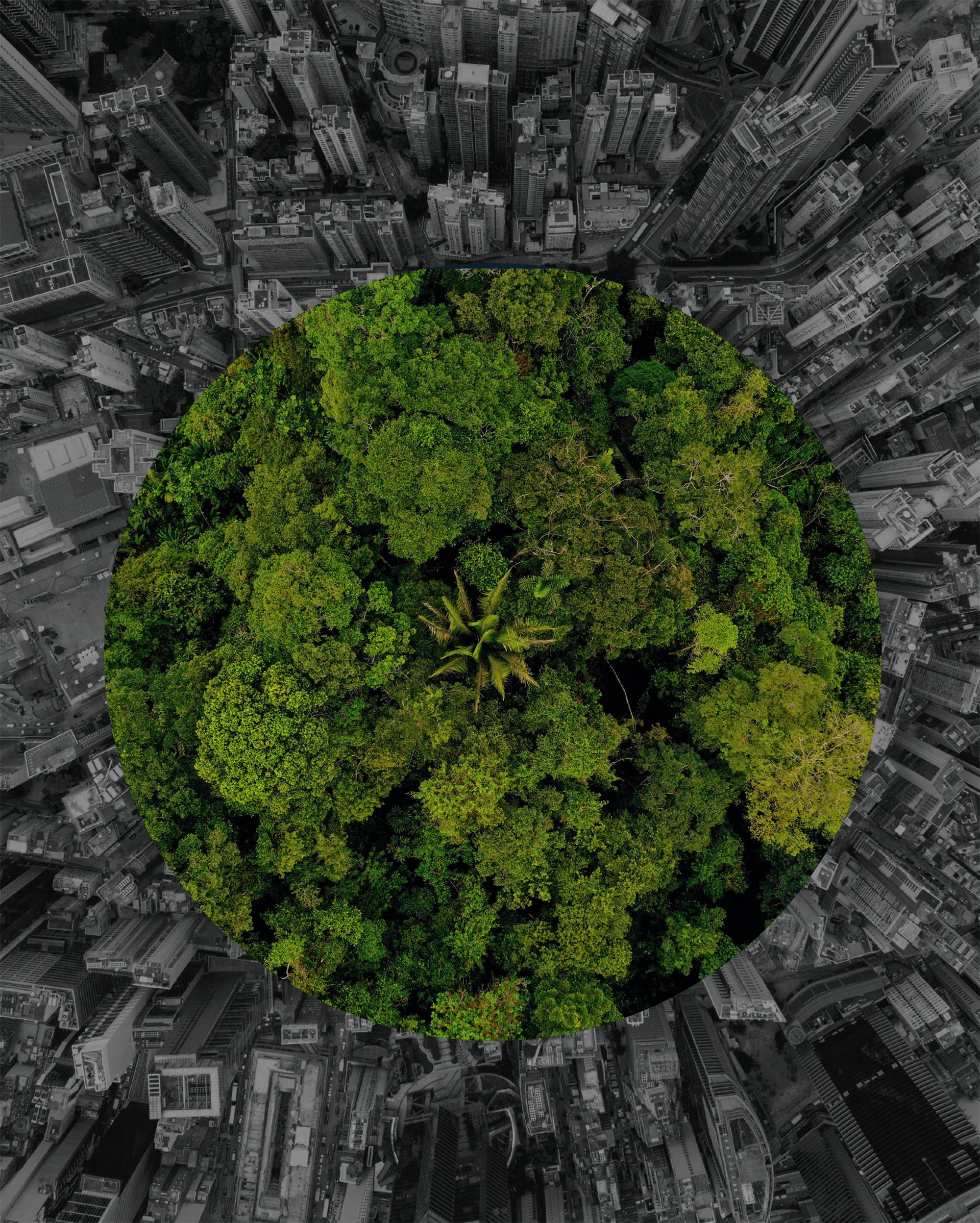 Why we create Urban Forests – SUGi
