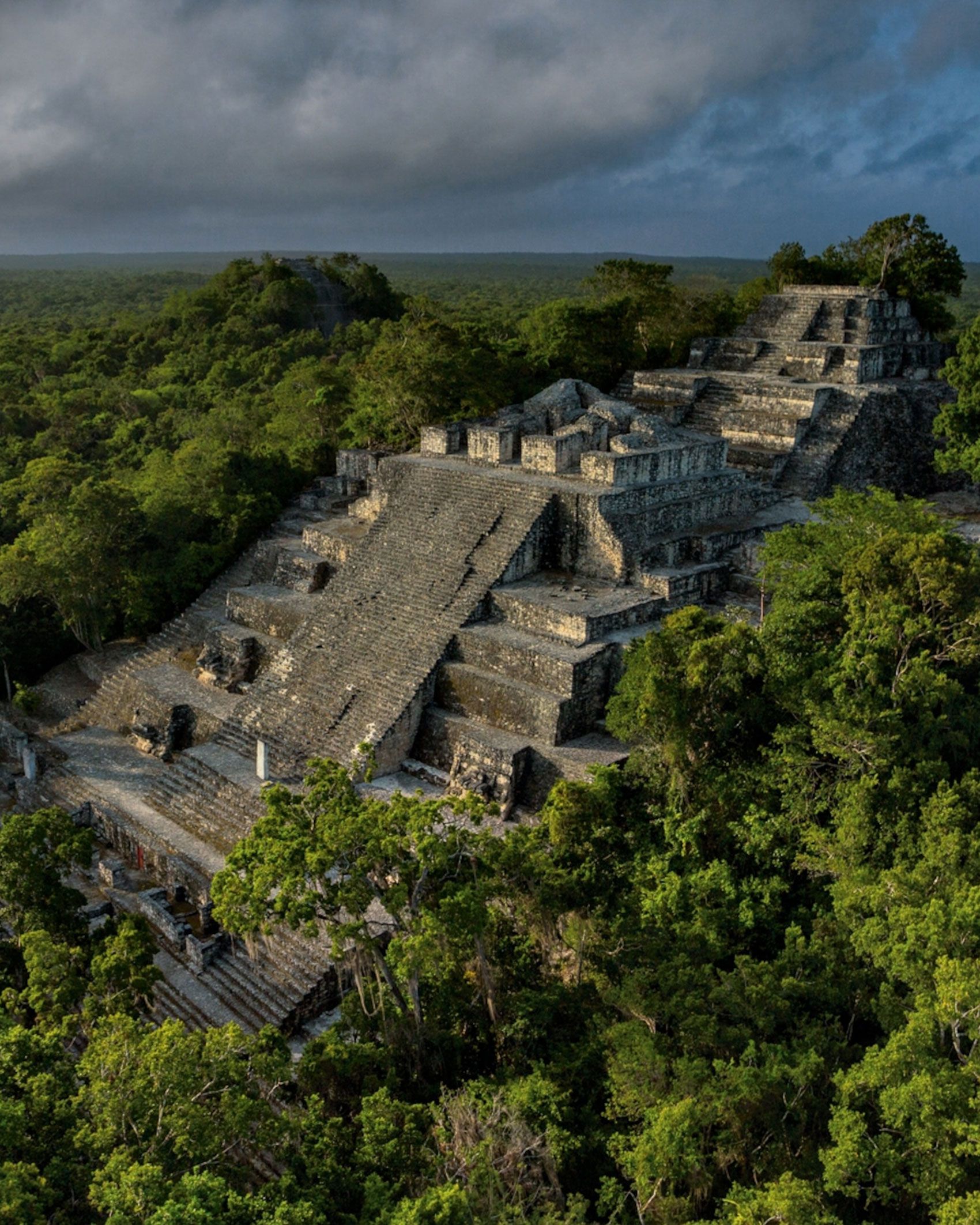 Maya Forest Gardens – SUGi