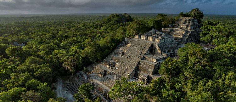 Maya Forest Gardens – SUGi
