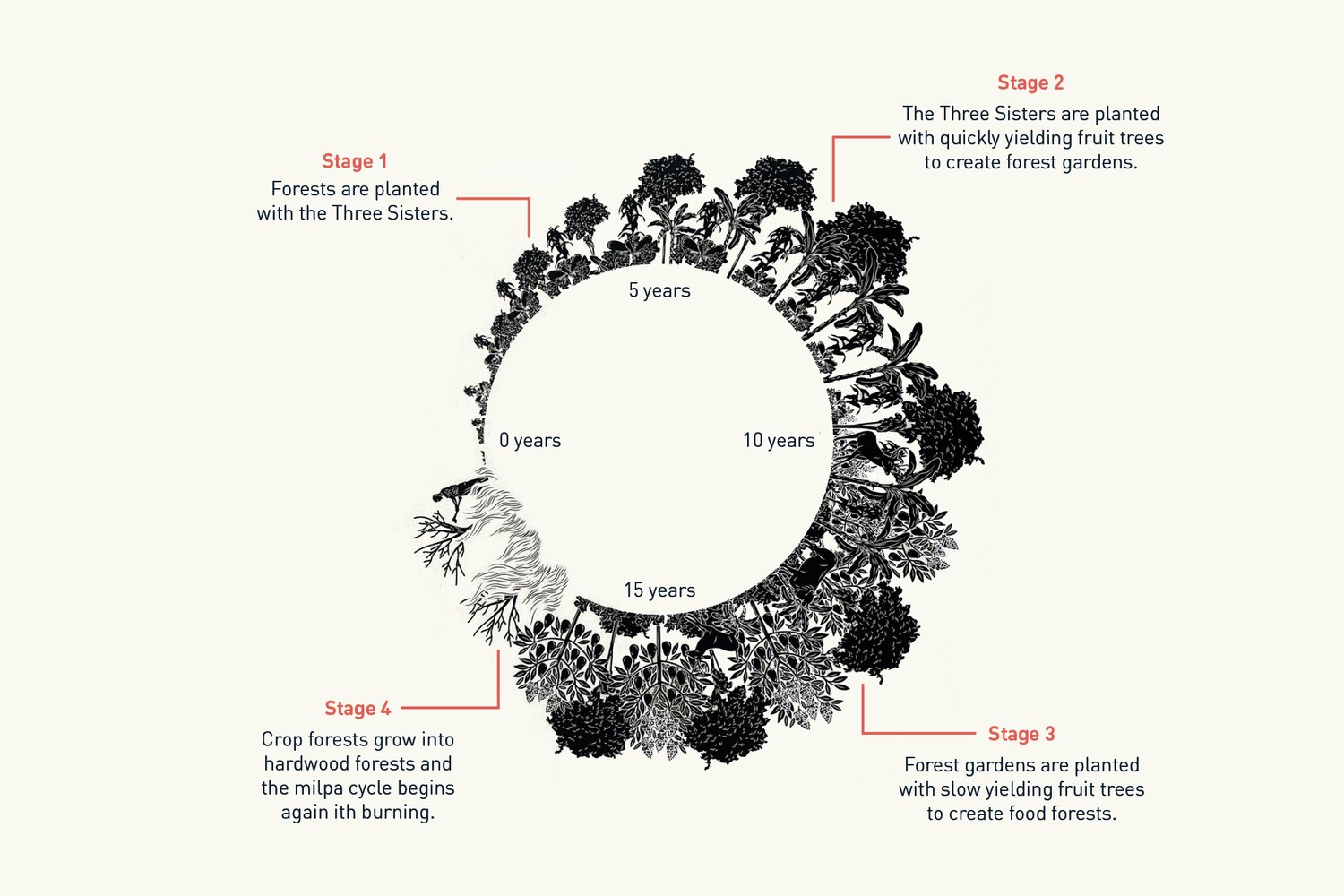 Maya Forest Gardens – SUGi