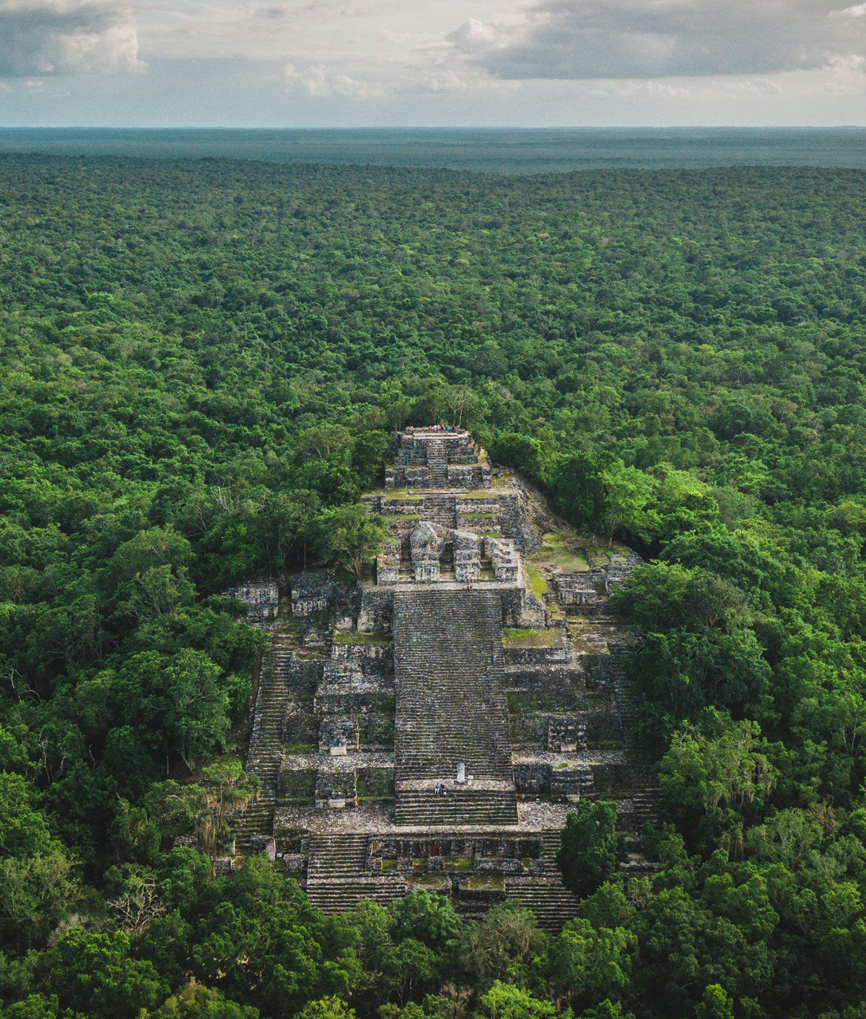 Maya Forest Gardens – SUGi