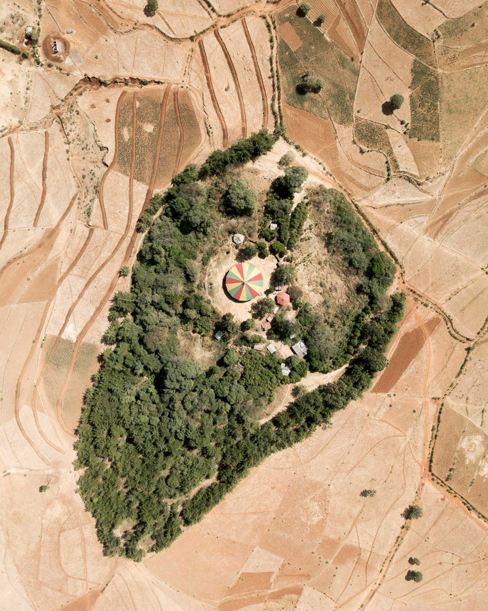 Church Forest, Ethiopia – SUGi