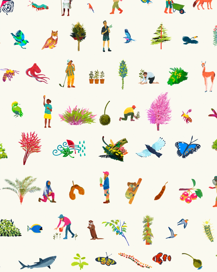 Why we use the Miyawaki Method – SUGi