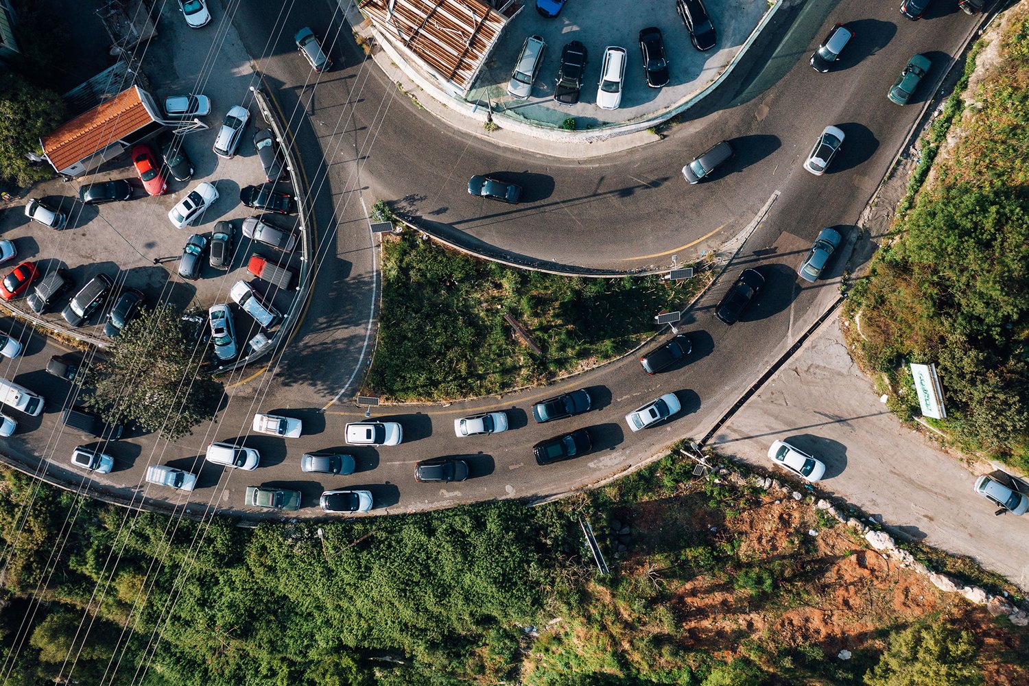 Support Sustainable Biodiverse Forests with SUGi