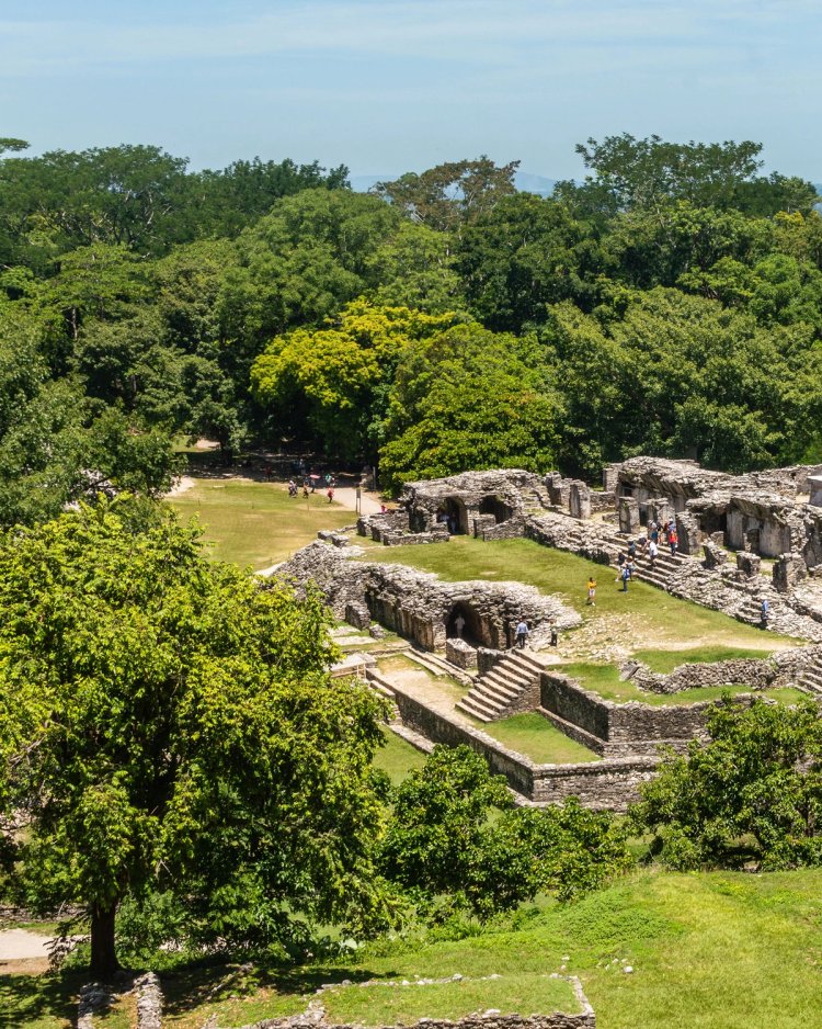Maya Forest Gardens – SUGi