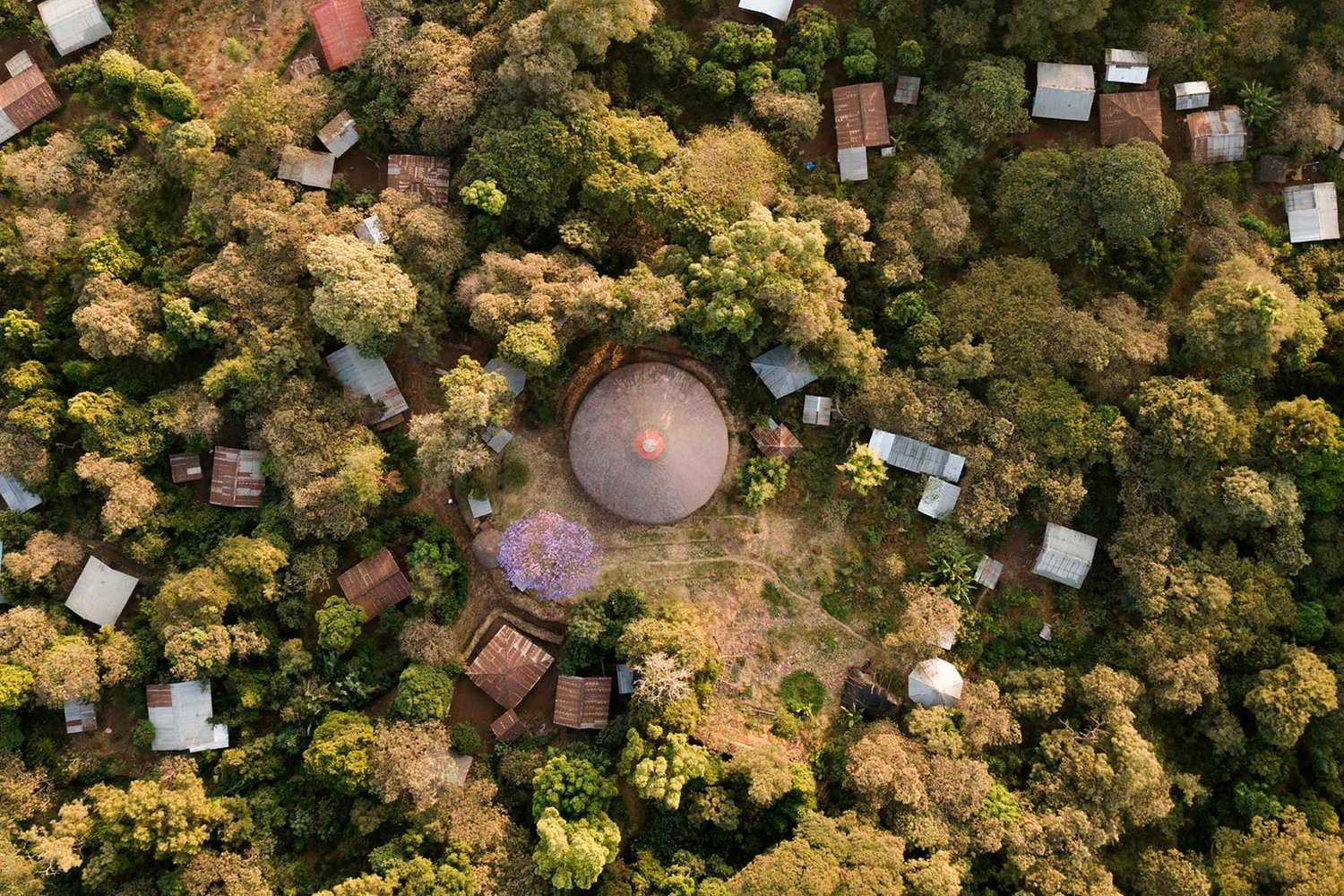 Church Forest, Ethiopia – SUGi