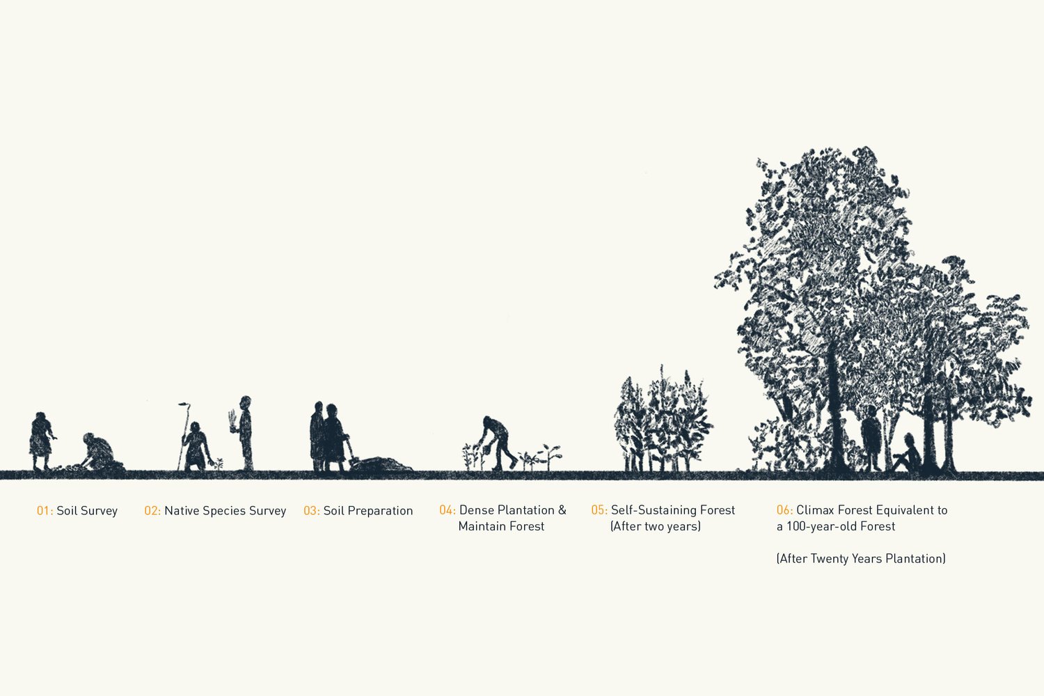 What is the Miyawaki Method? – SUGi