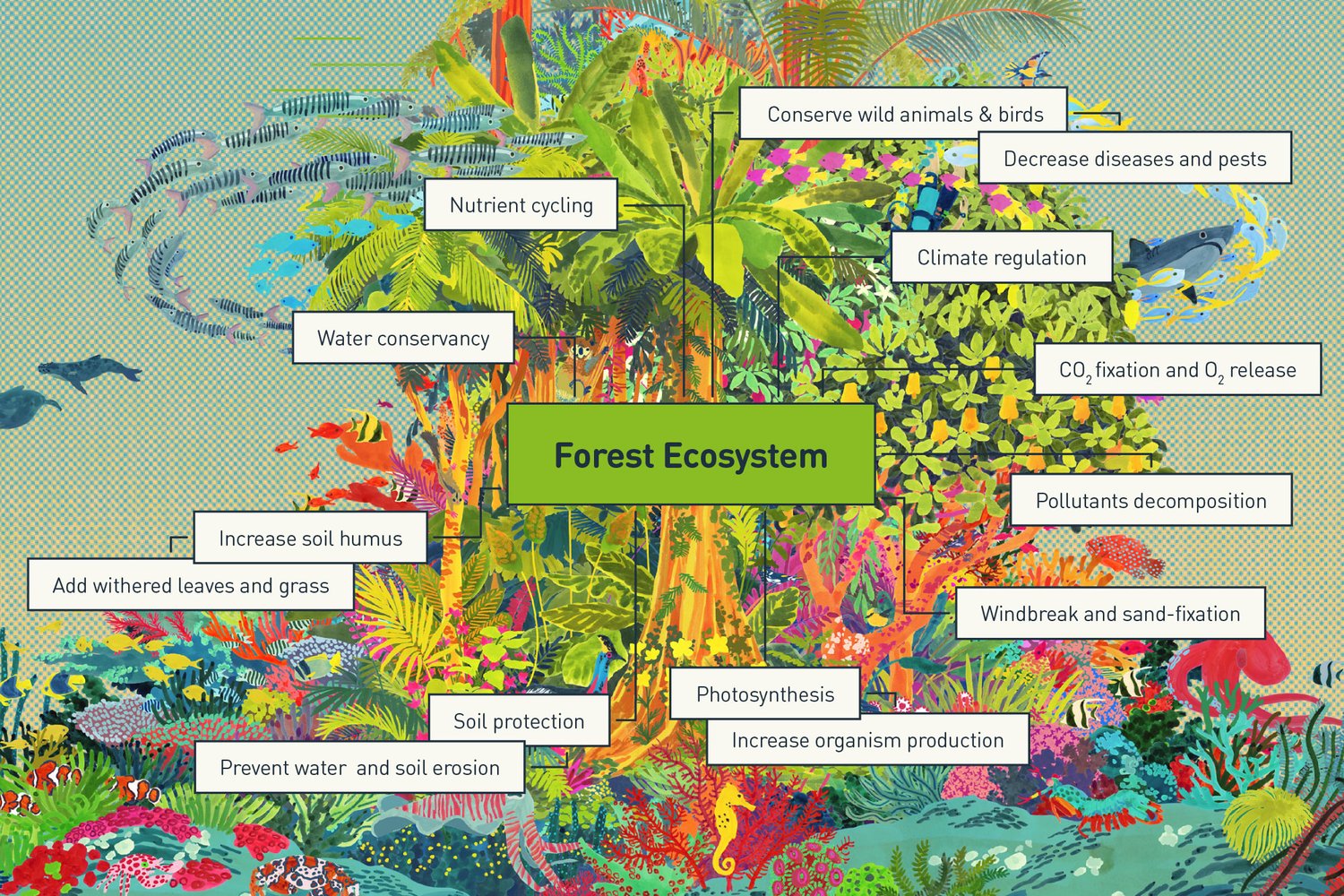 What is biodiversity – SUGi