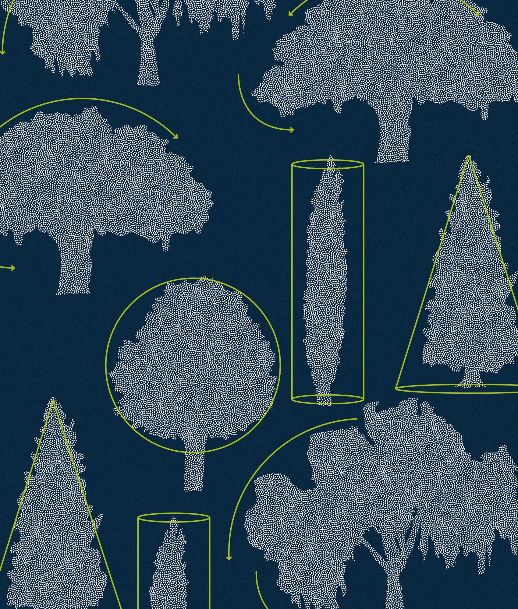 SUGi Tree Guide: Tree Shapes – SUGi
