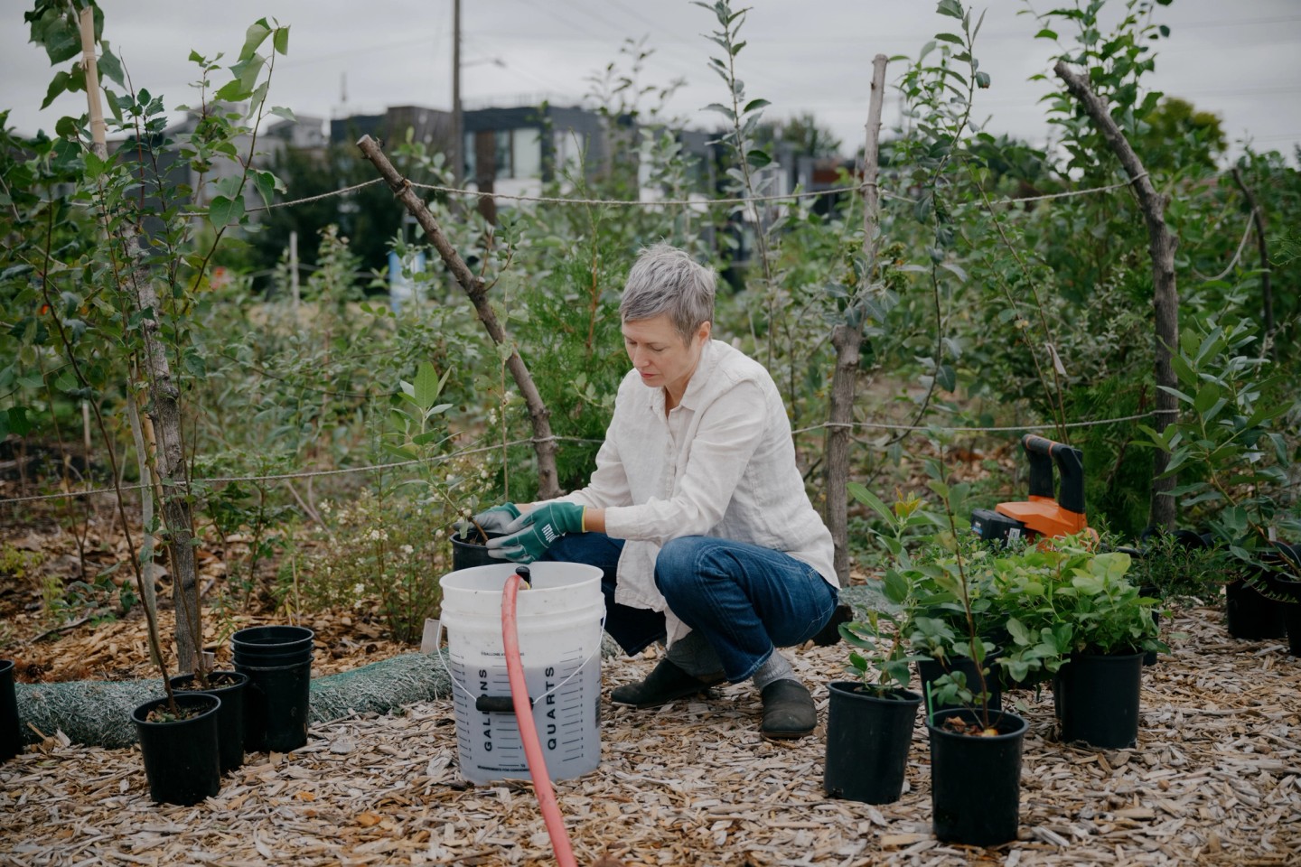 Georgetown Community Forest | SUGi