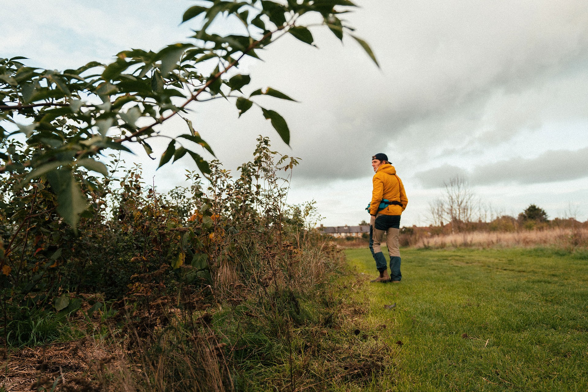 Forest of Thanks | SUGi