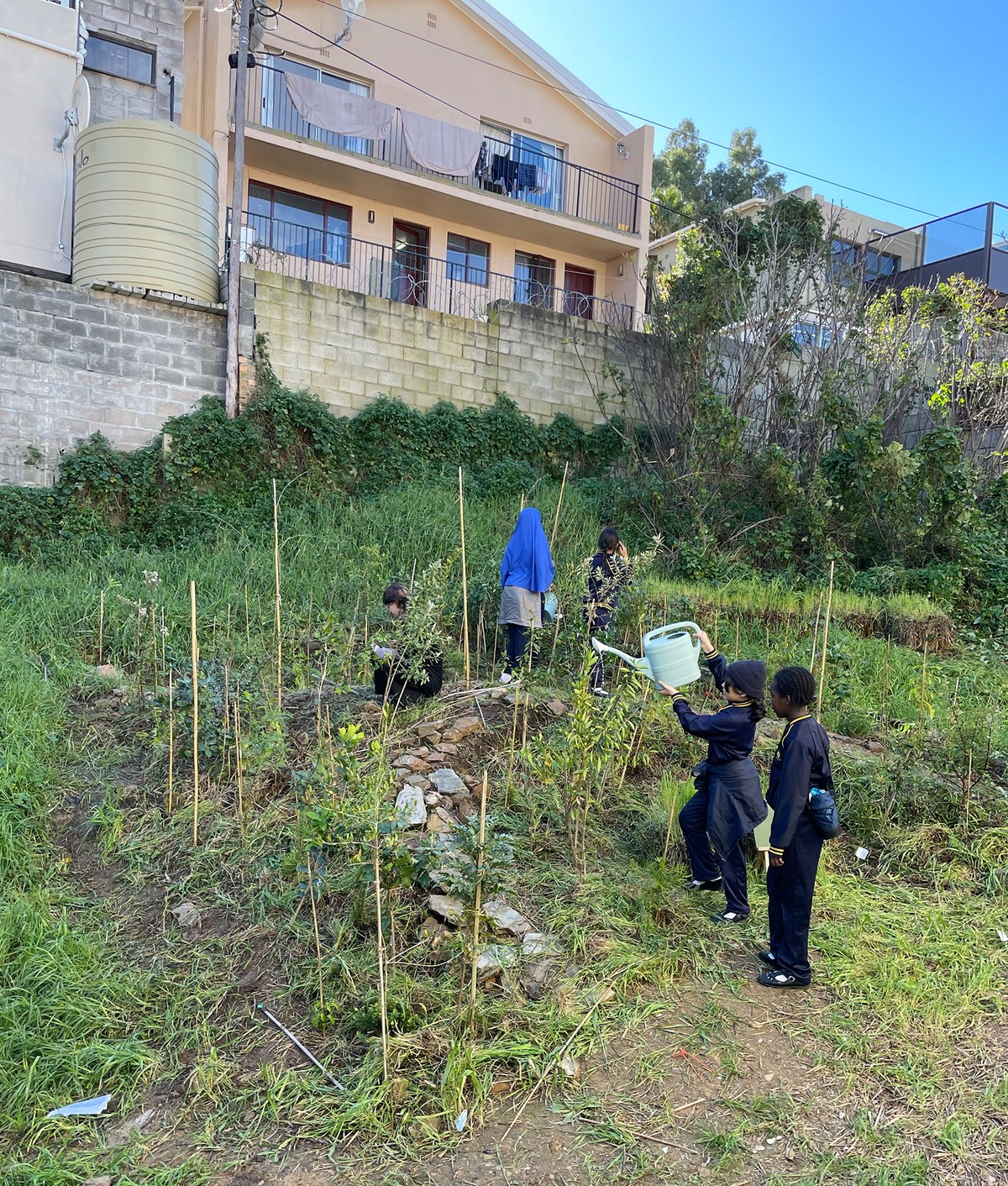 Schotsche Kloof Forest | SUGi