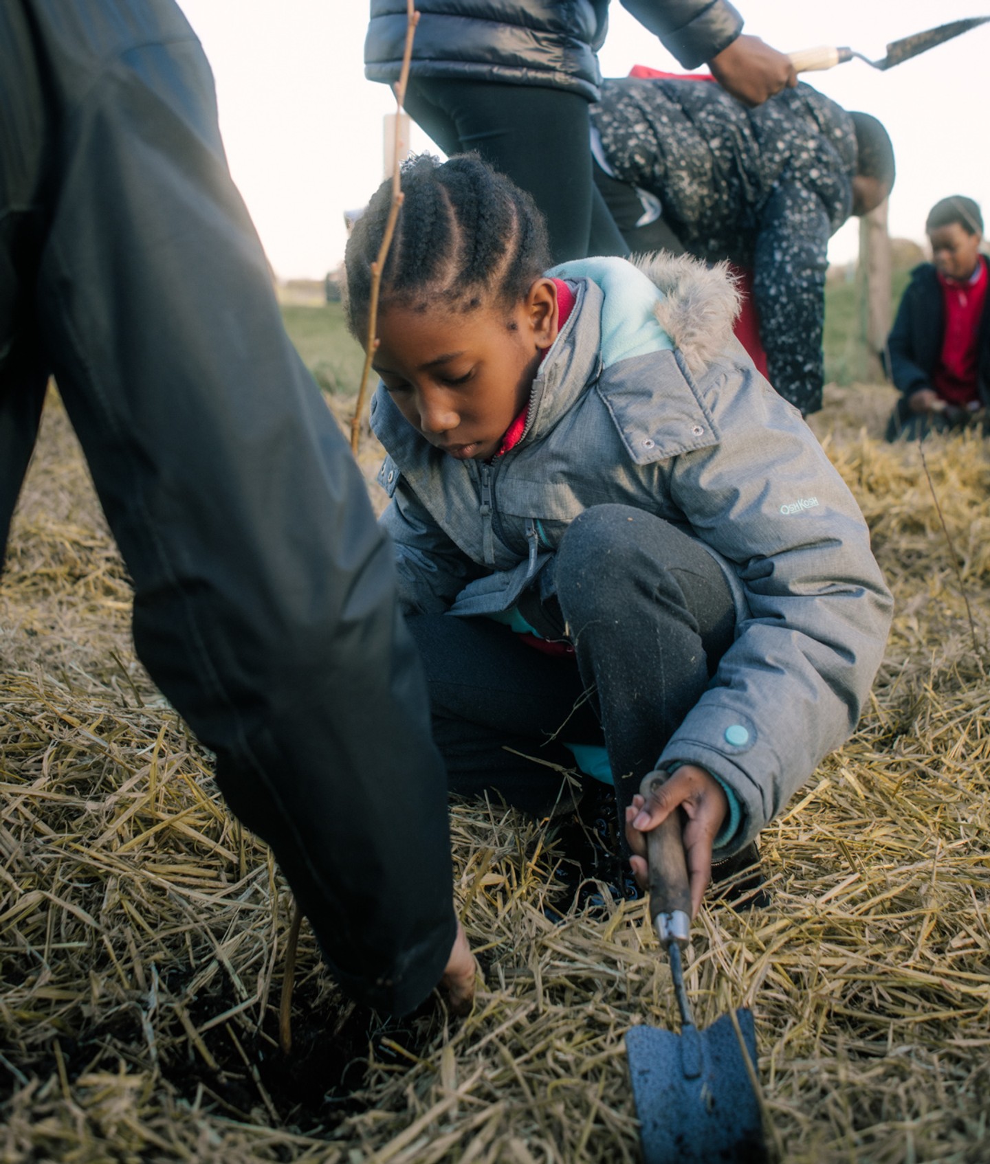 Harmony Forest | SUGi