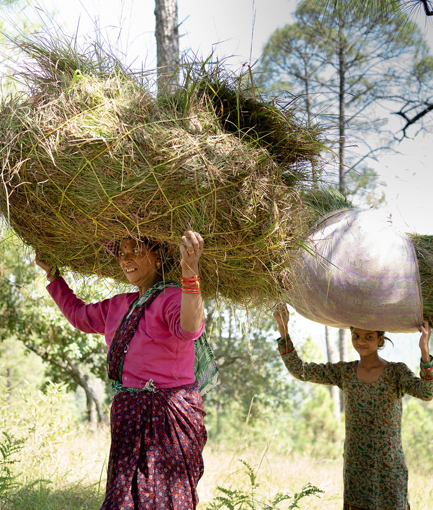 Community Forest | SUGi