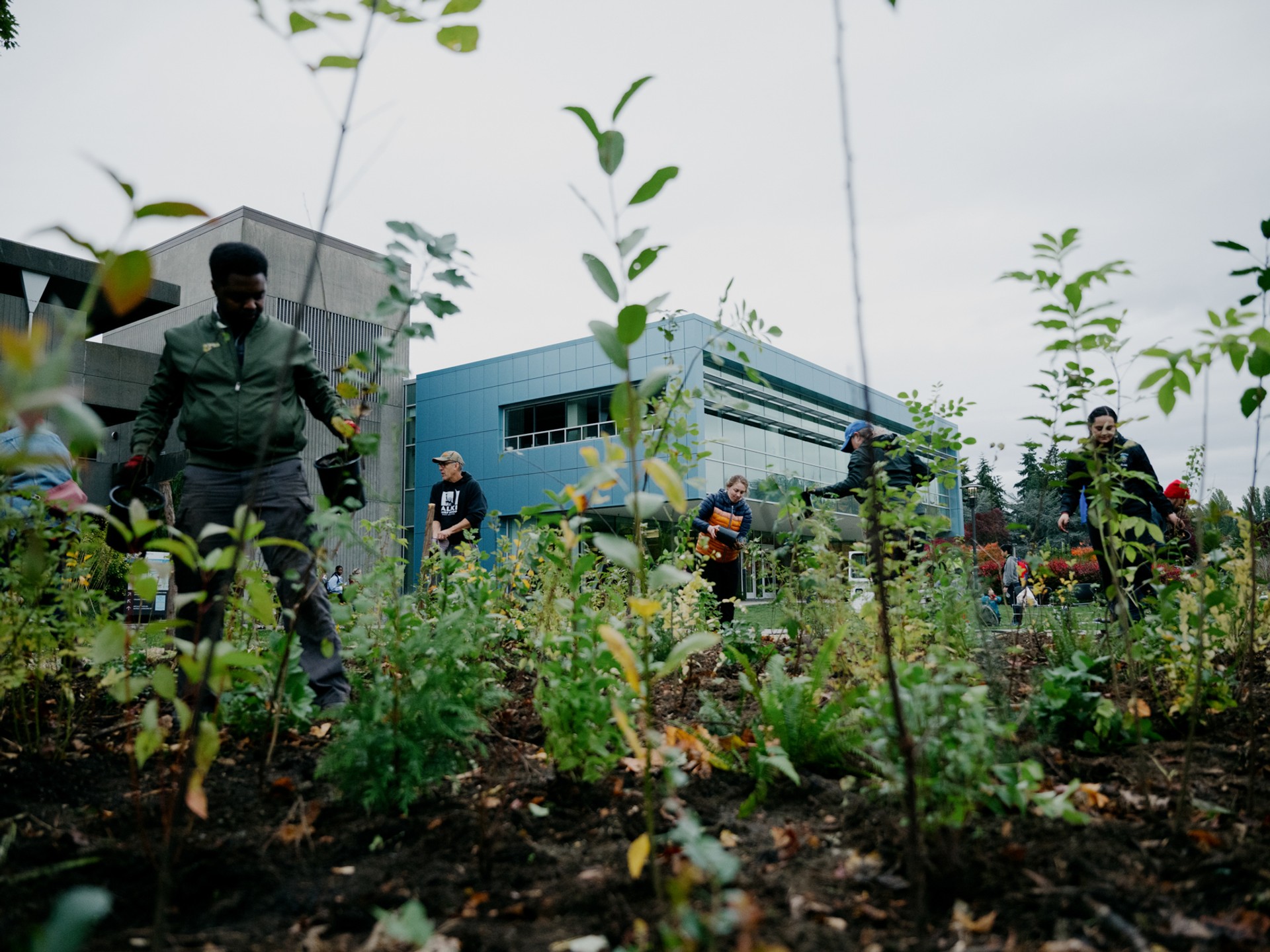 Seattle Unity Forest | SUGi