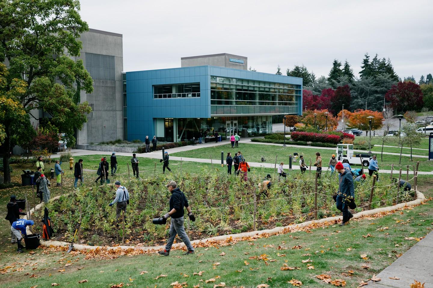 Seattle Unity Forest | SUGi
