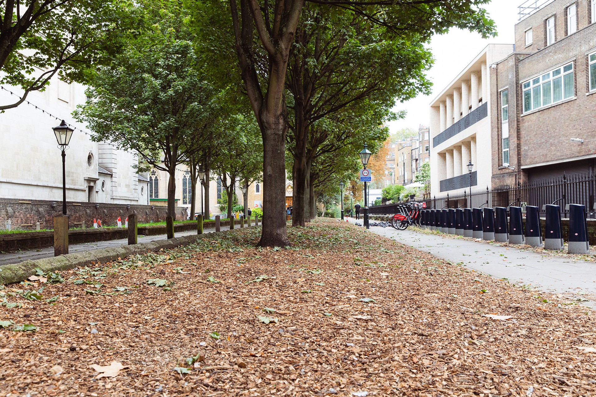 Holy Trinity Brompton - Natura Nostra Forest | SUGi