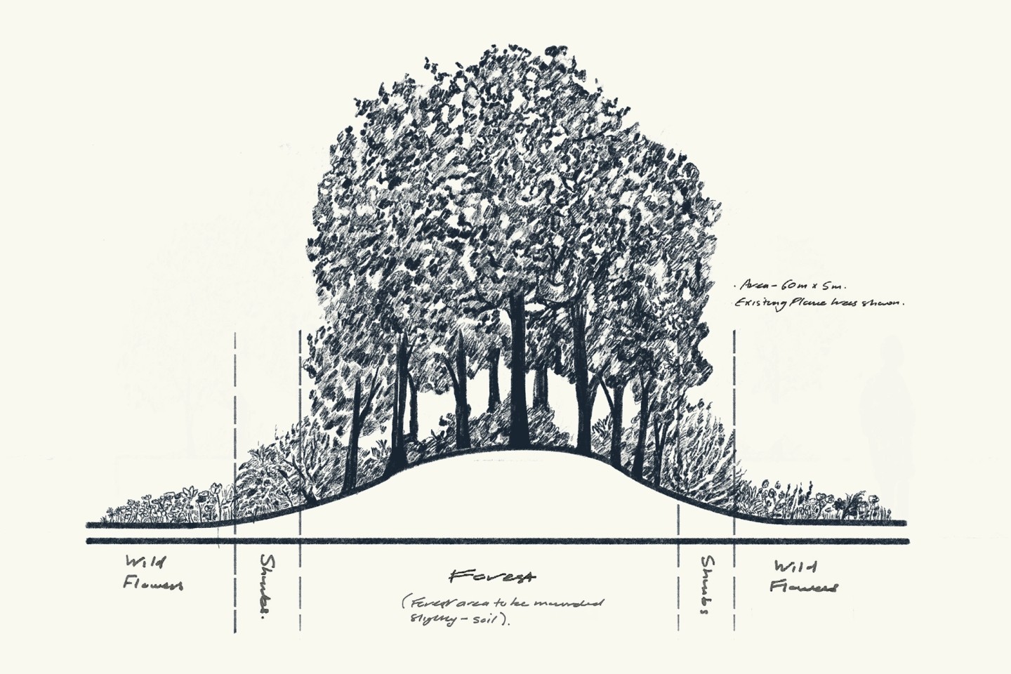 Heritage Forest | SUGi