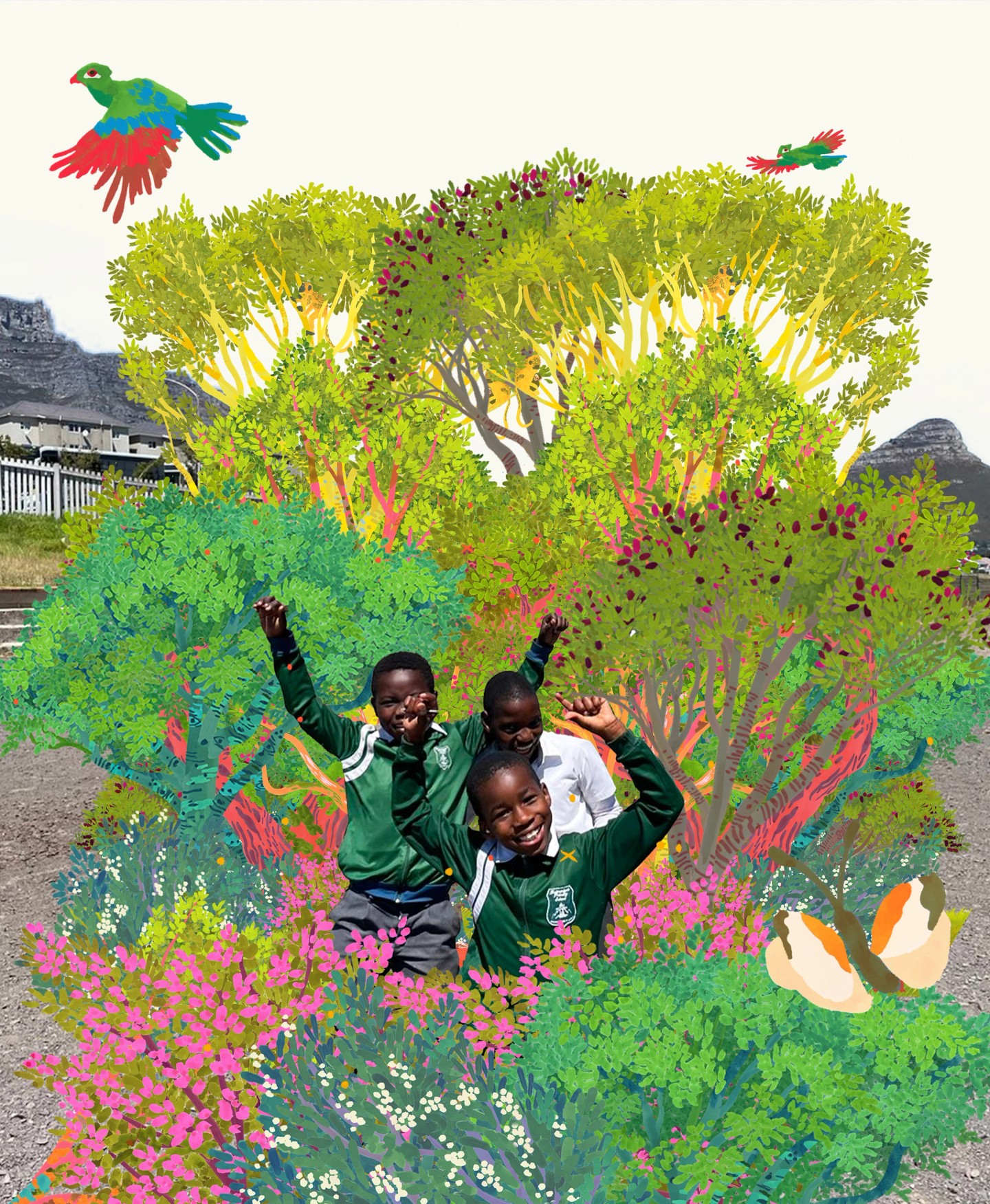 District Six Heritage Forest | SUGi