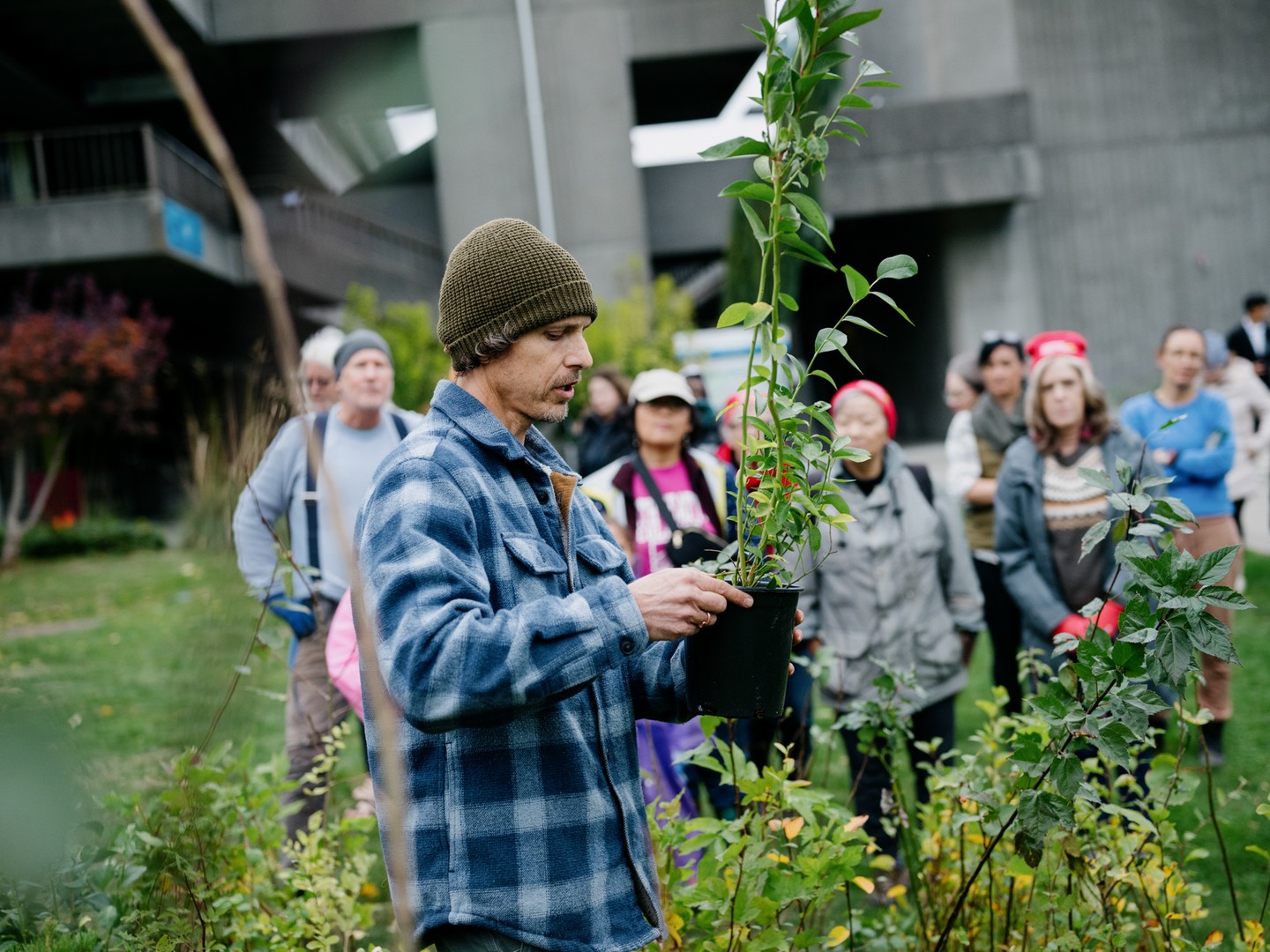 Seattle Unity Forest | SUGi