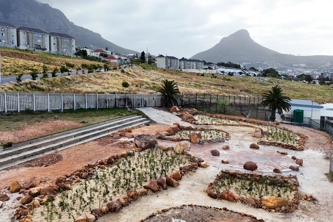 District Six Heritage Forest | SUGi