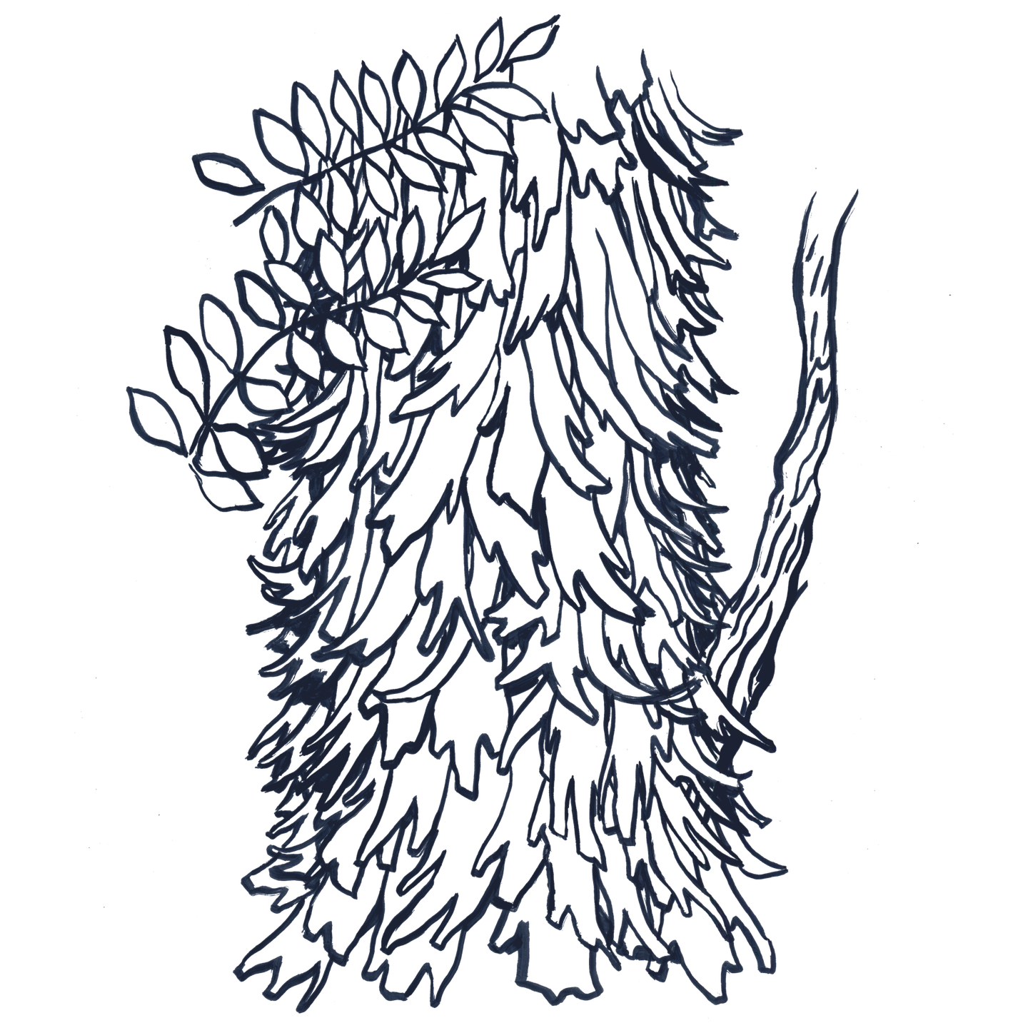 New York Native Trees | SUGi