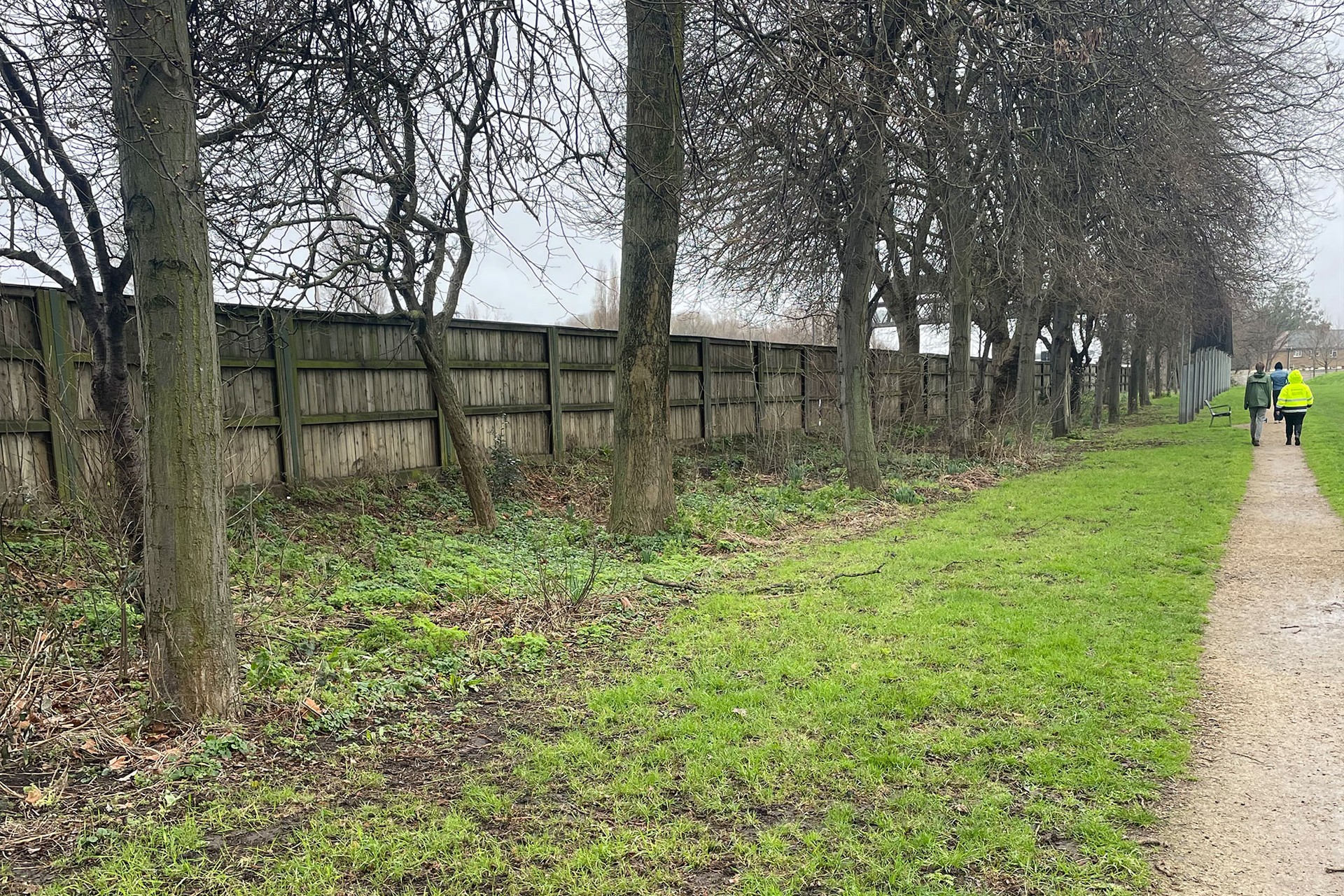 Gooseley Park Forest | SUGi