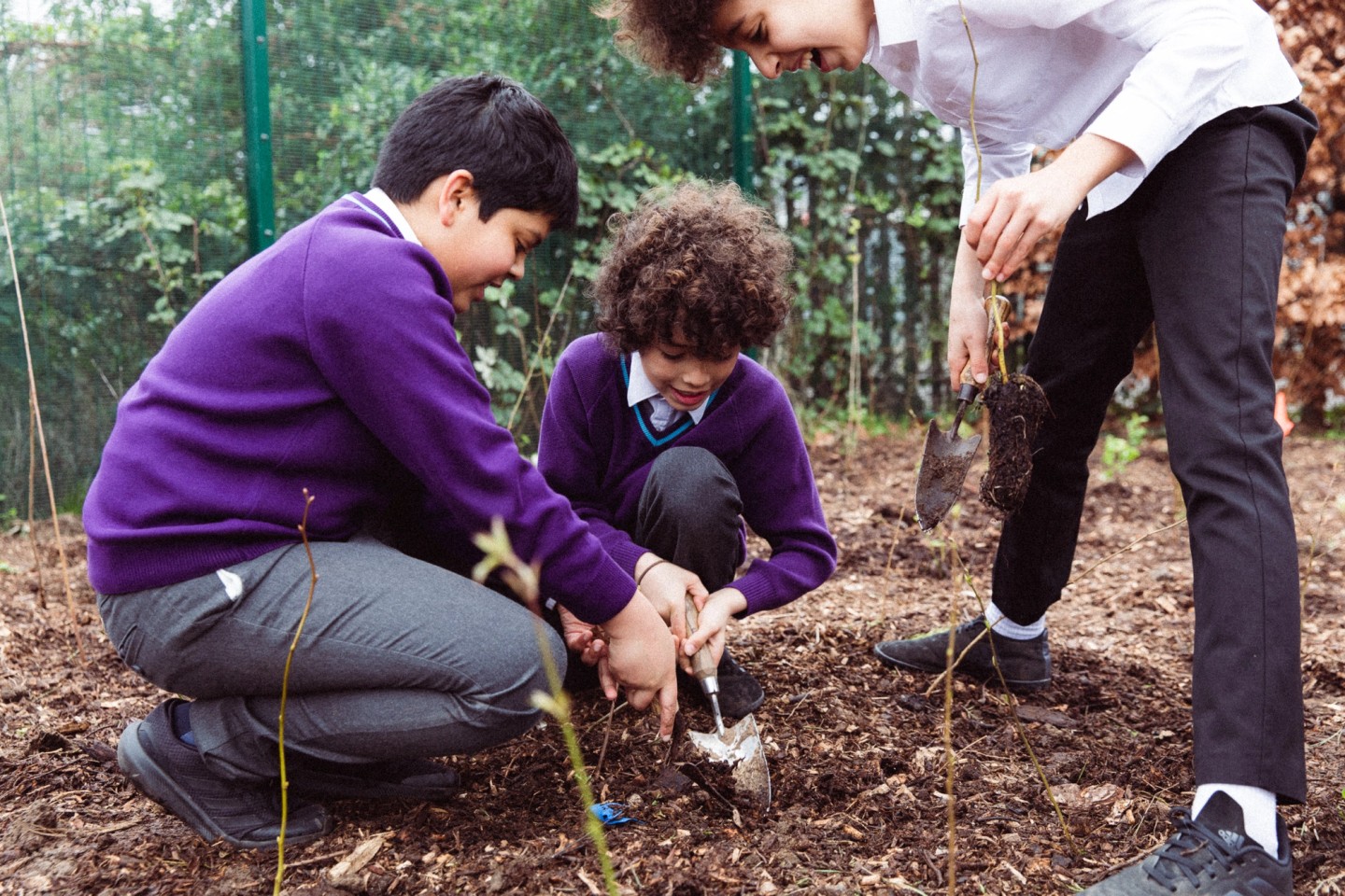 Greening for Newham’s Next Generation | SUGi