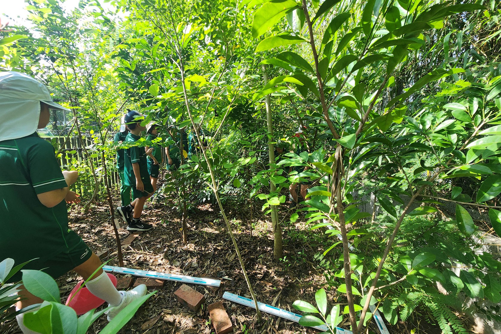 ICHK Hong Lok Yuen Forest | SUGi