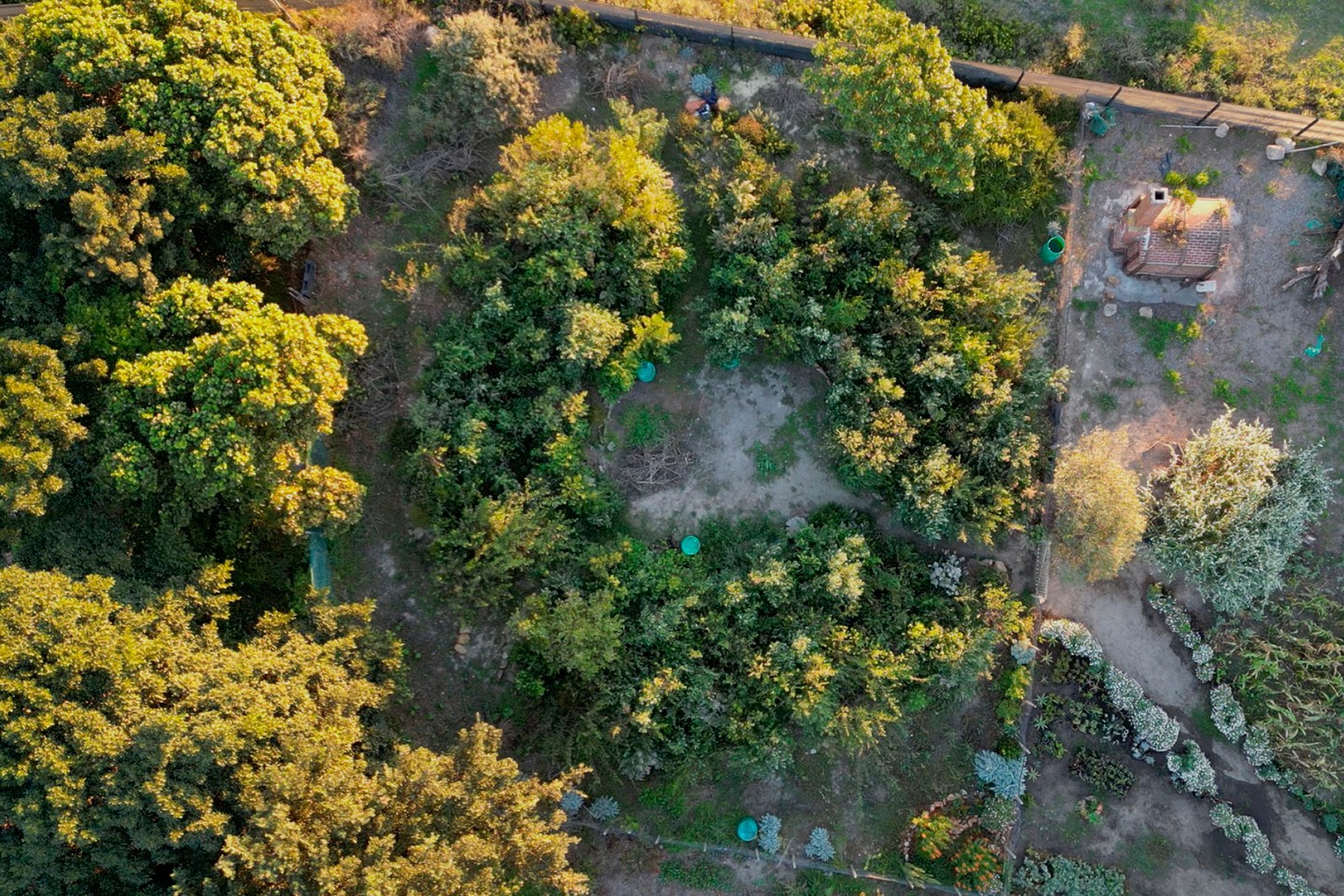 SUGi Pocket Forests – Cape Town | SUGi